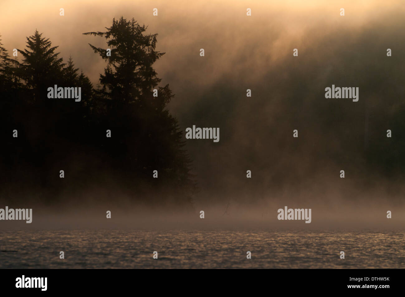 Mist on Tahkenitch Lake, Oregon Dunes National Recreation Area, Oregon ...