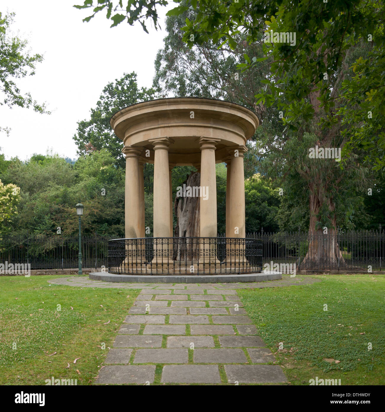 Guernica tree hi-res stock photography and images - Alamy