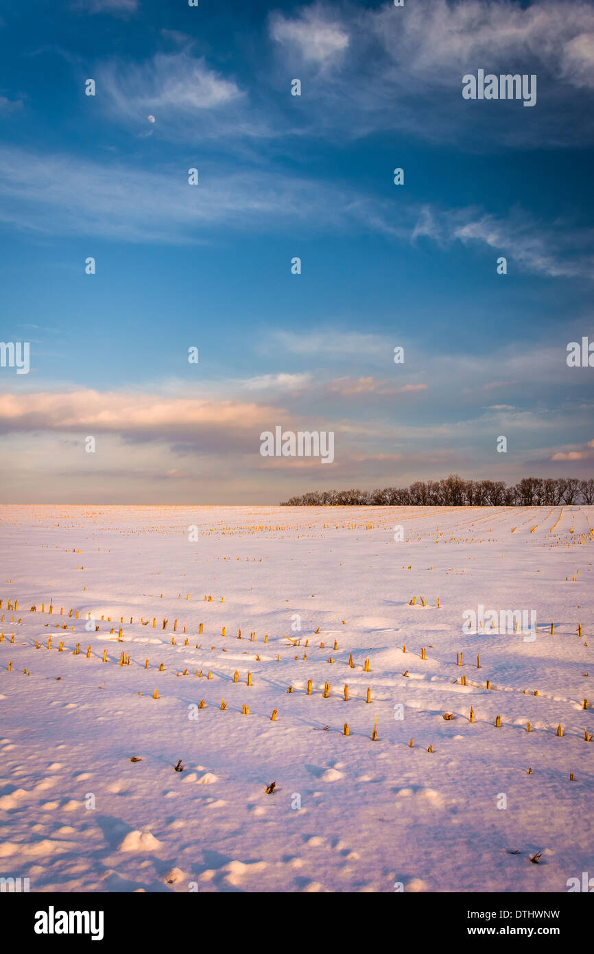 Evening sky over a snow-covered farm field in rural Carroll County ...