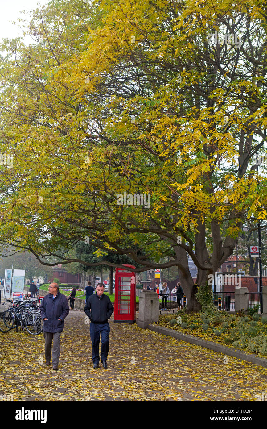 Autumn on the Thames embankment in Lambeth Stock Photo - Alamy