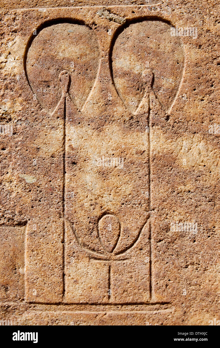 Flabella Stock Photos & Flabella Stock Images - Alamy