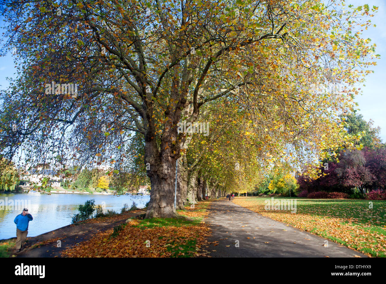 Fall trees river thames hi-res stock photography and images - Alamy