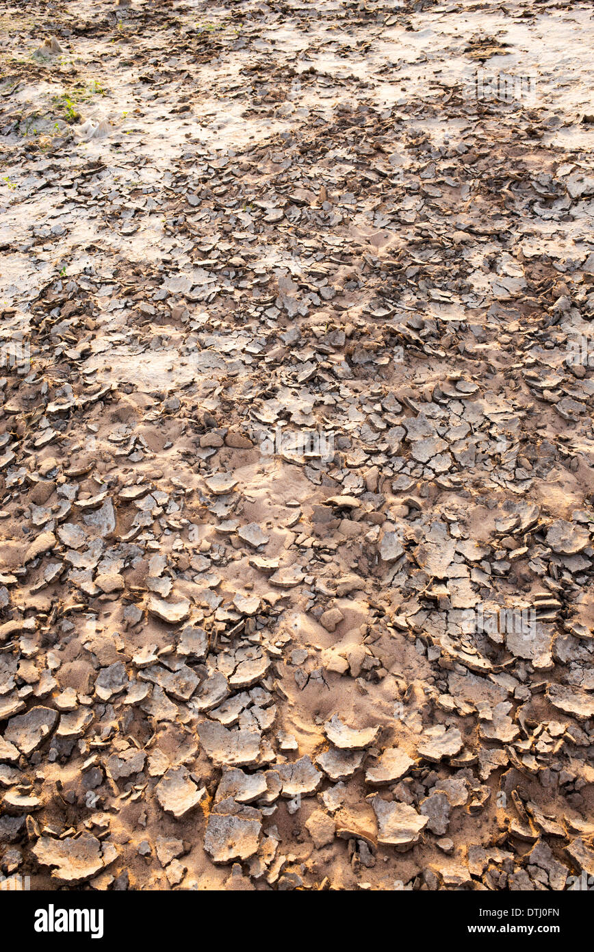 Dried up river bed in India Stock Photo - Alamy