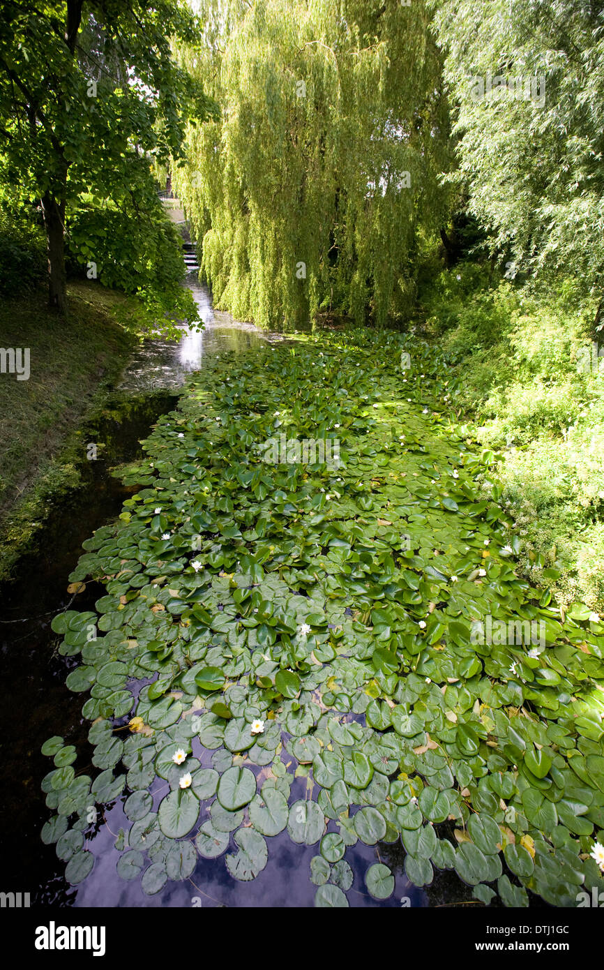 Roath park hi-res stock photography and images - Alamy