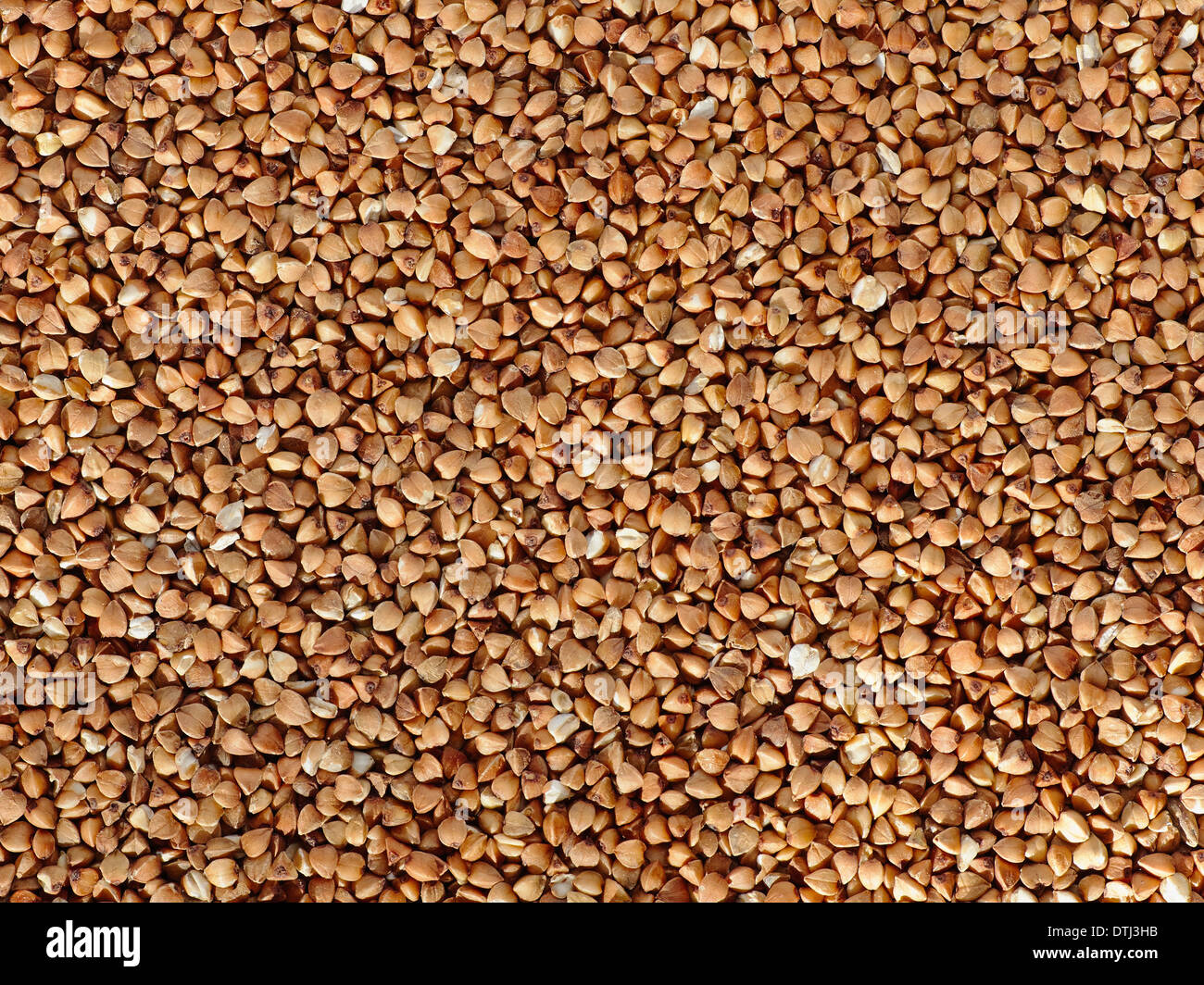 Dried buckwheat seeds closeup flat food background Stock Photo - Alamy