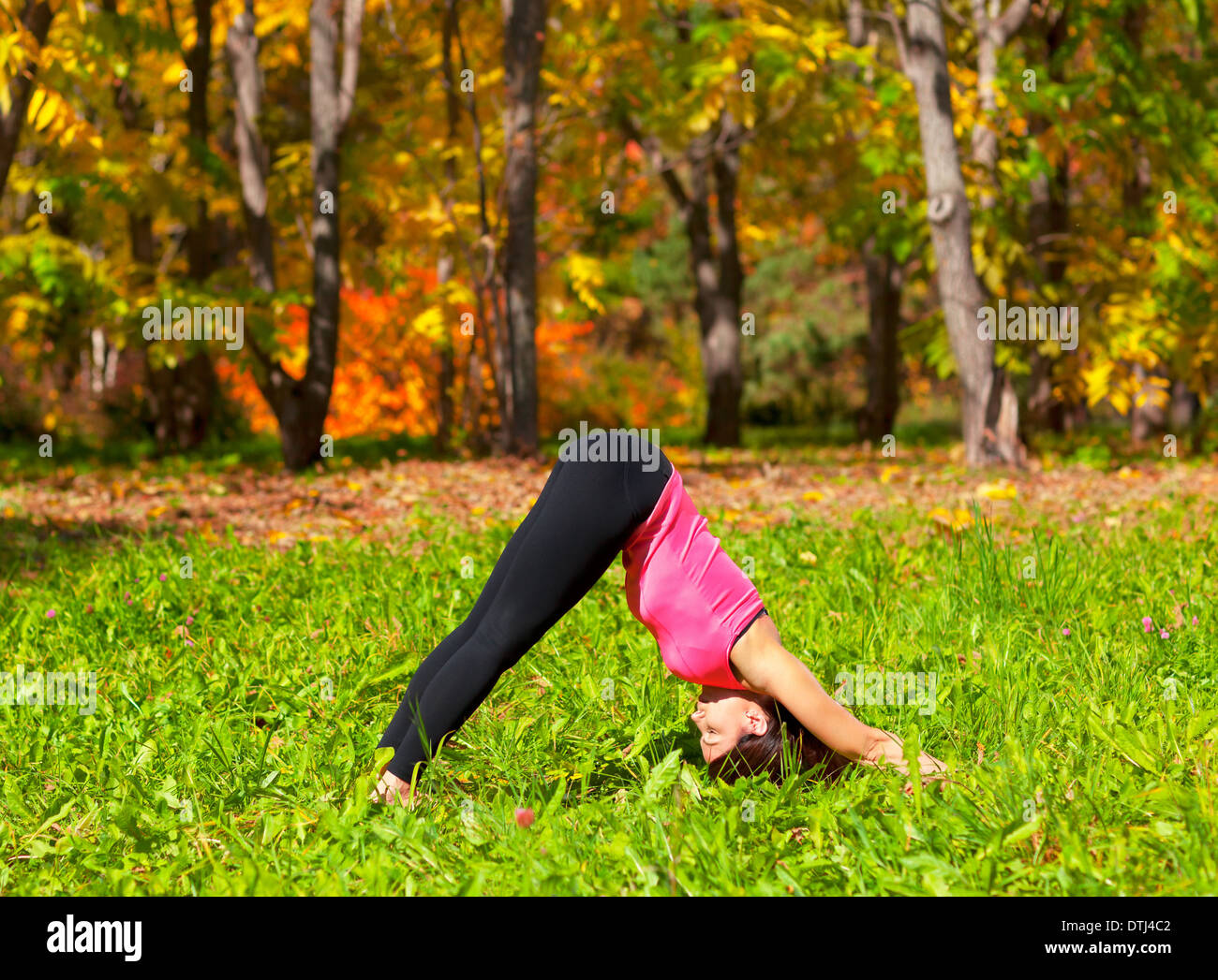 Woman exercises in the autumn forest yoga Adha mukha shvanasana pose ...