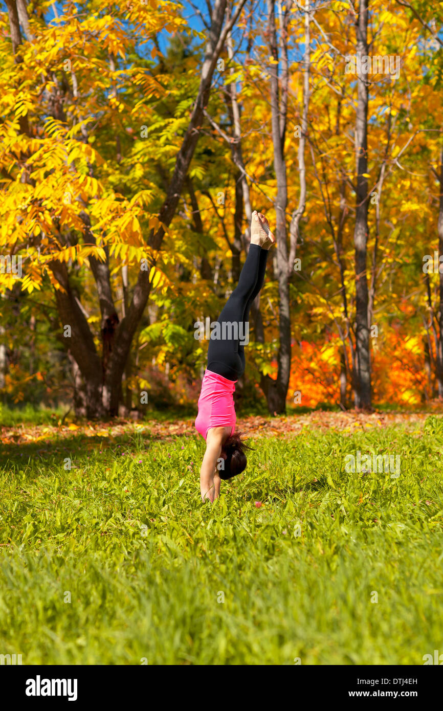 Woman exercises in the autumn forest yoga Adha mukha vrikshasana pose ...