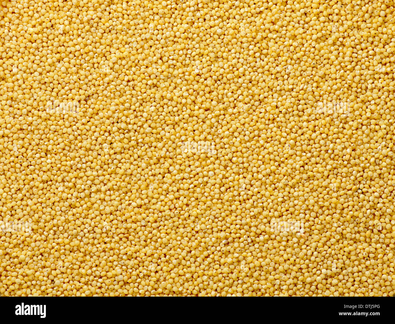 Dried couscous seeds closeup flat food background Stock Photo - Alamy