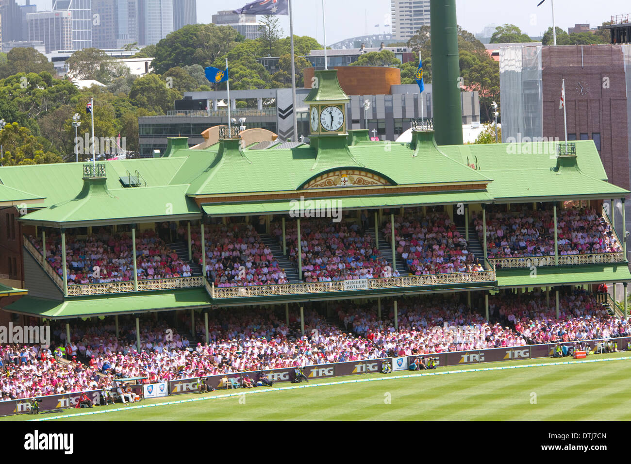 Pink day at the sydney cricket ground during the 5th ashes test in ...
