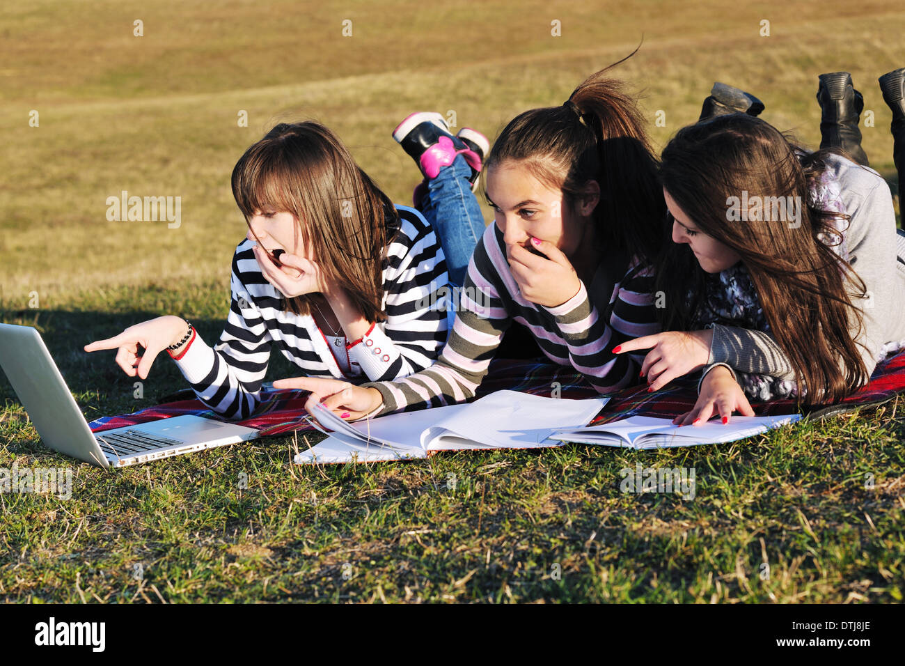 group of teens working on laptop outdoor Stock Photo - Alamy