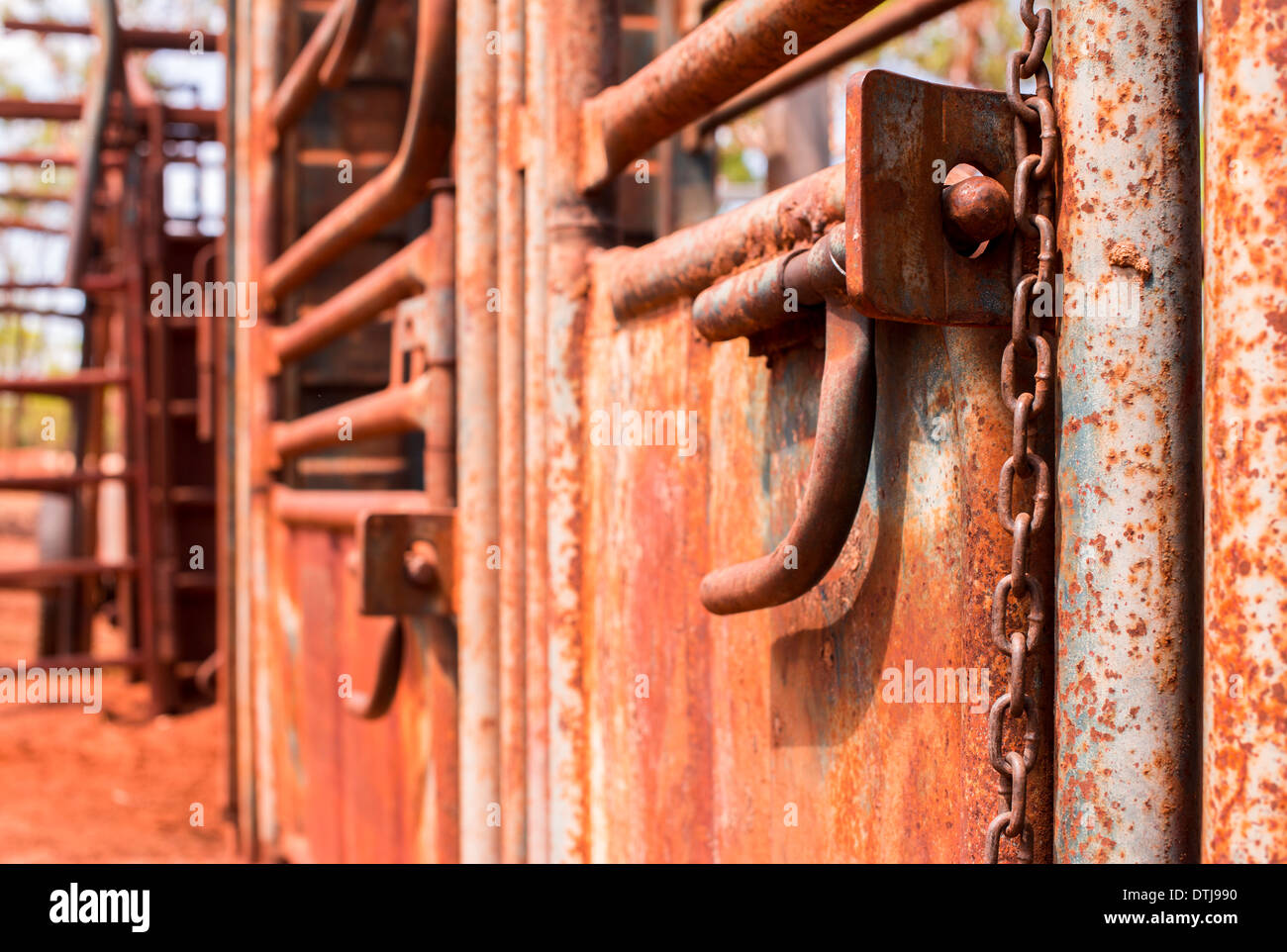 Cattle crush hi-res stock photography and images - Alamy