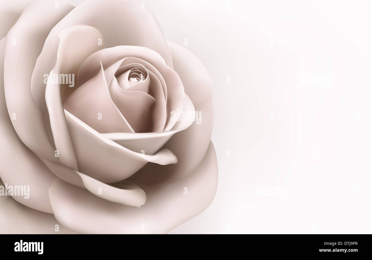 Vintage background with a beautiful pink rose. Vector illustration ...