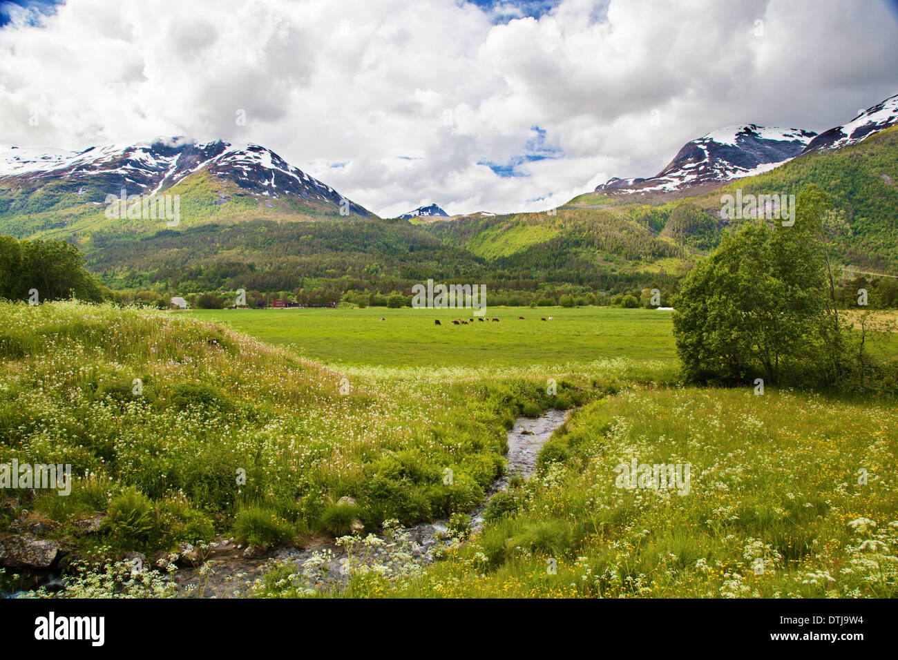 Norwegian summer hi-res stock photography and images - Alamy