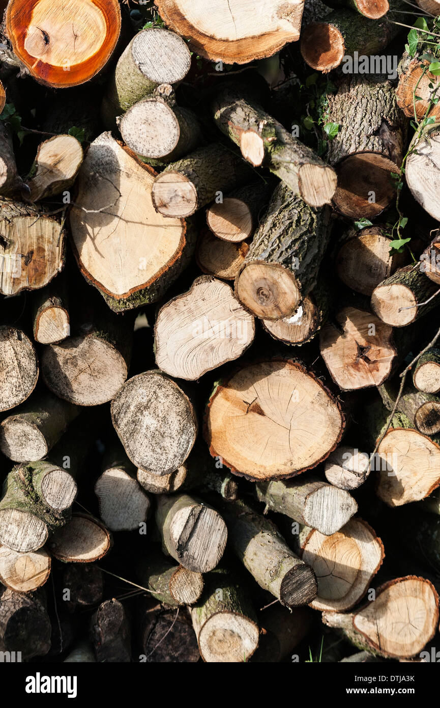 A pile of cut logs Stock Photo - Alamy