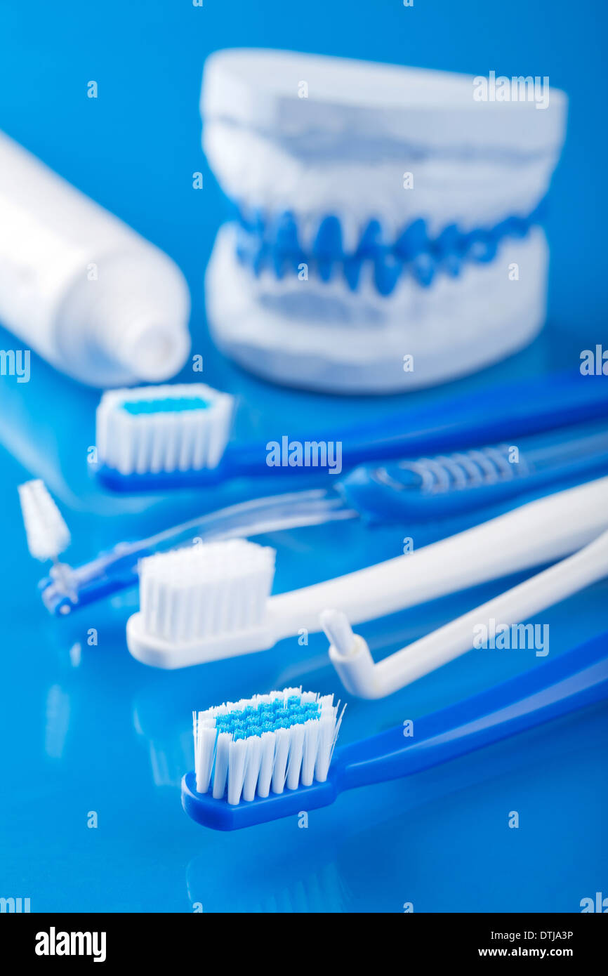 toothbrushes and individual plaster dental molds Stock Photo - Alamy