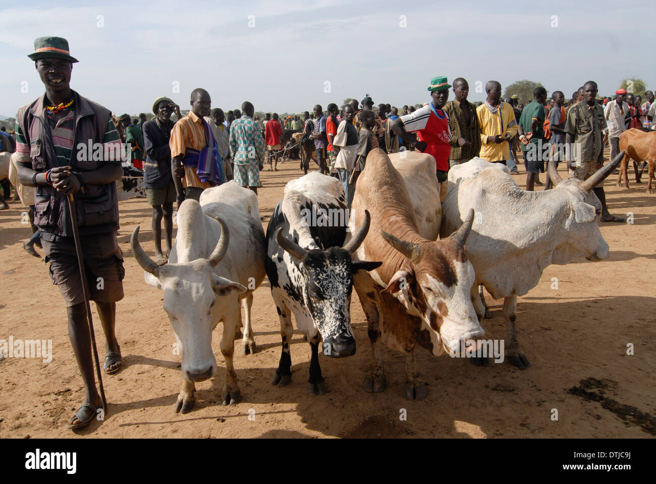 Uganda Karamoja Kotido, Karimojong people, pastoral tribe, cattle ...