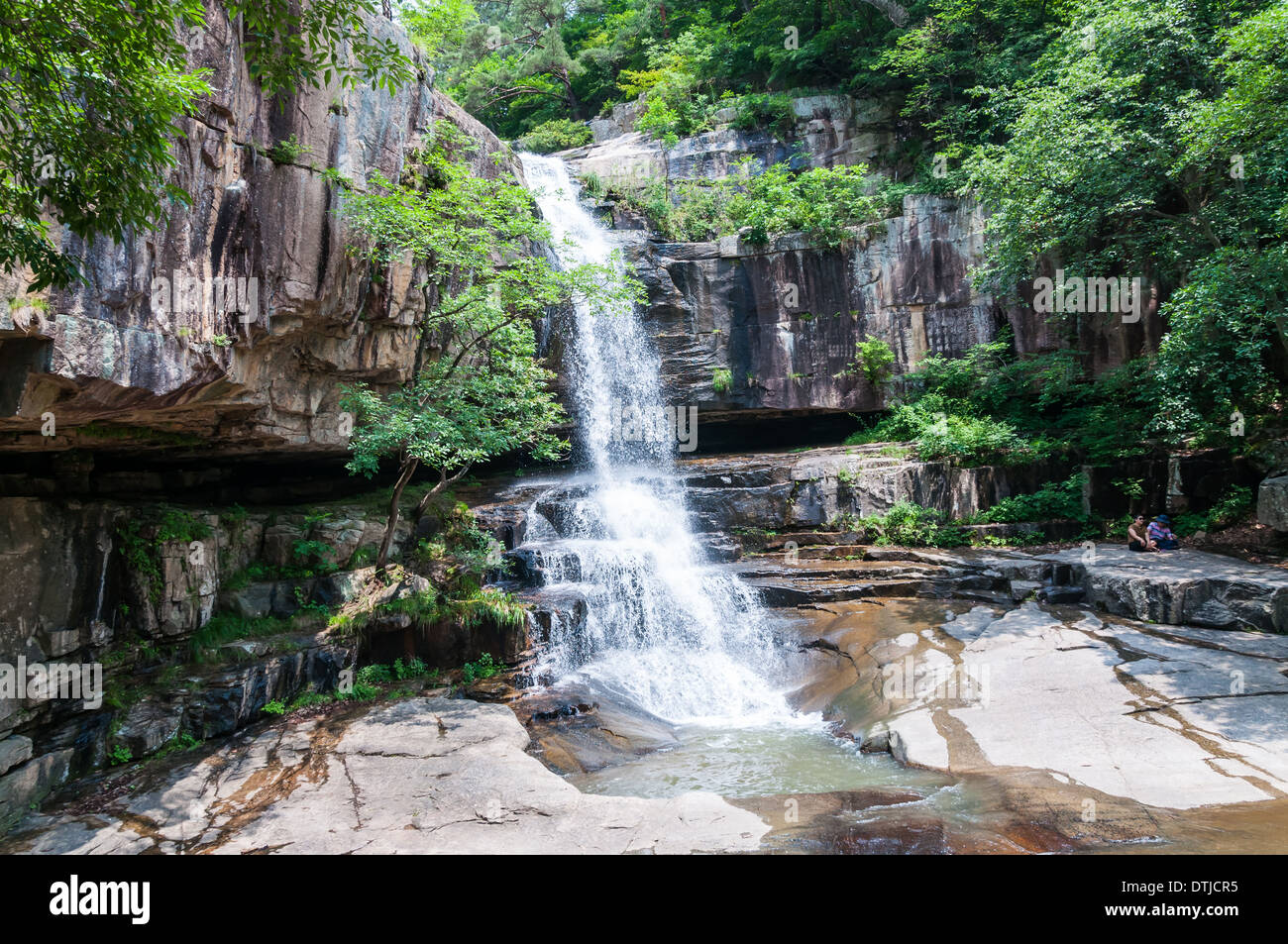 Waterfall in a jungle setting Stock Photo - Alamy