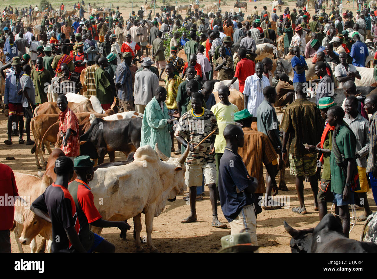 Uganda Karamoja Kotido, Karimojong people, pastoral tribe, cattle ...