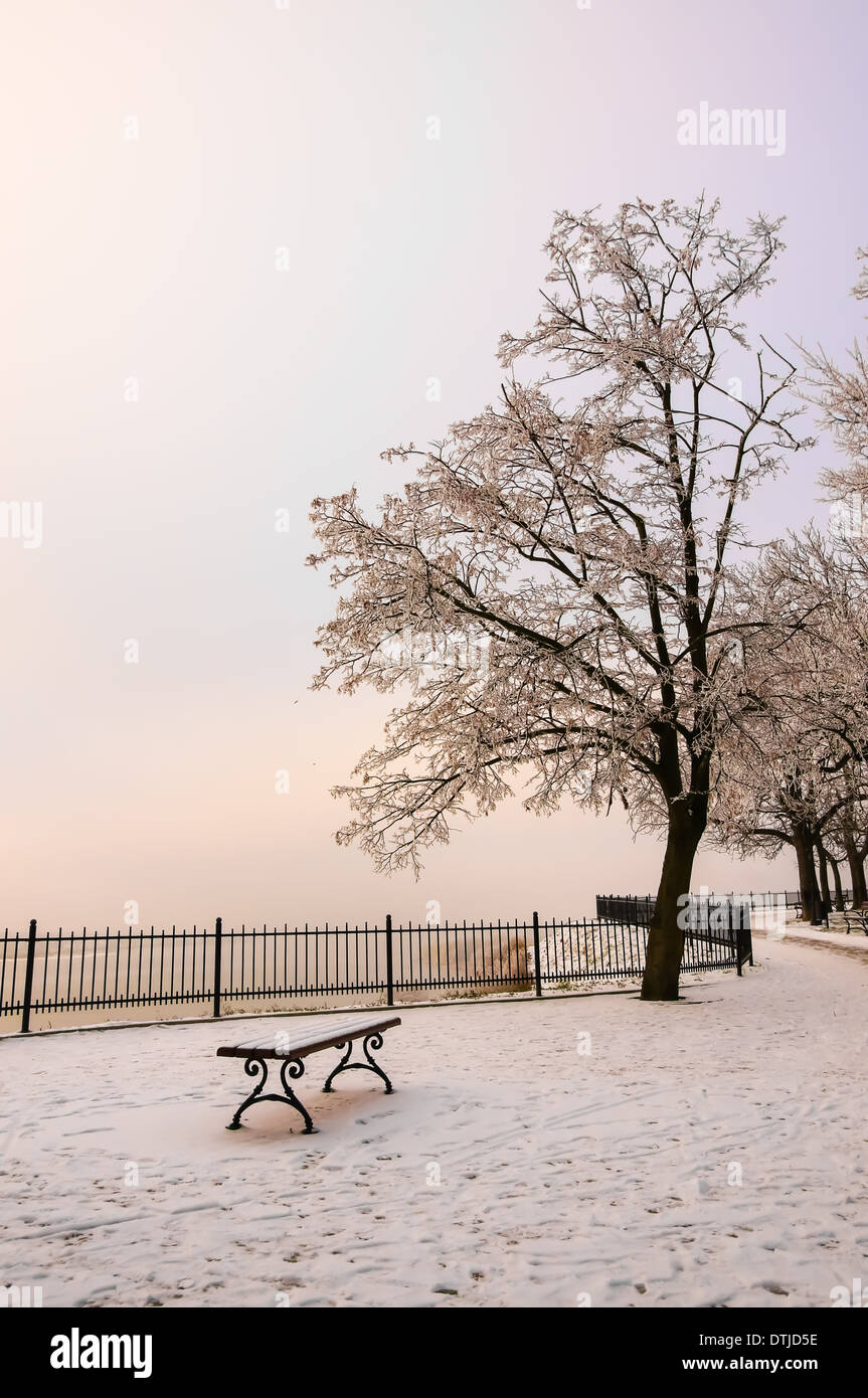 Winter landscape with trees and bench covered with snow Stock Photo - Alamy