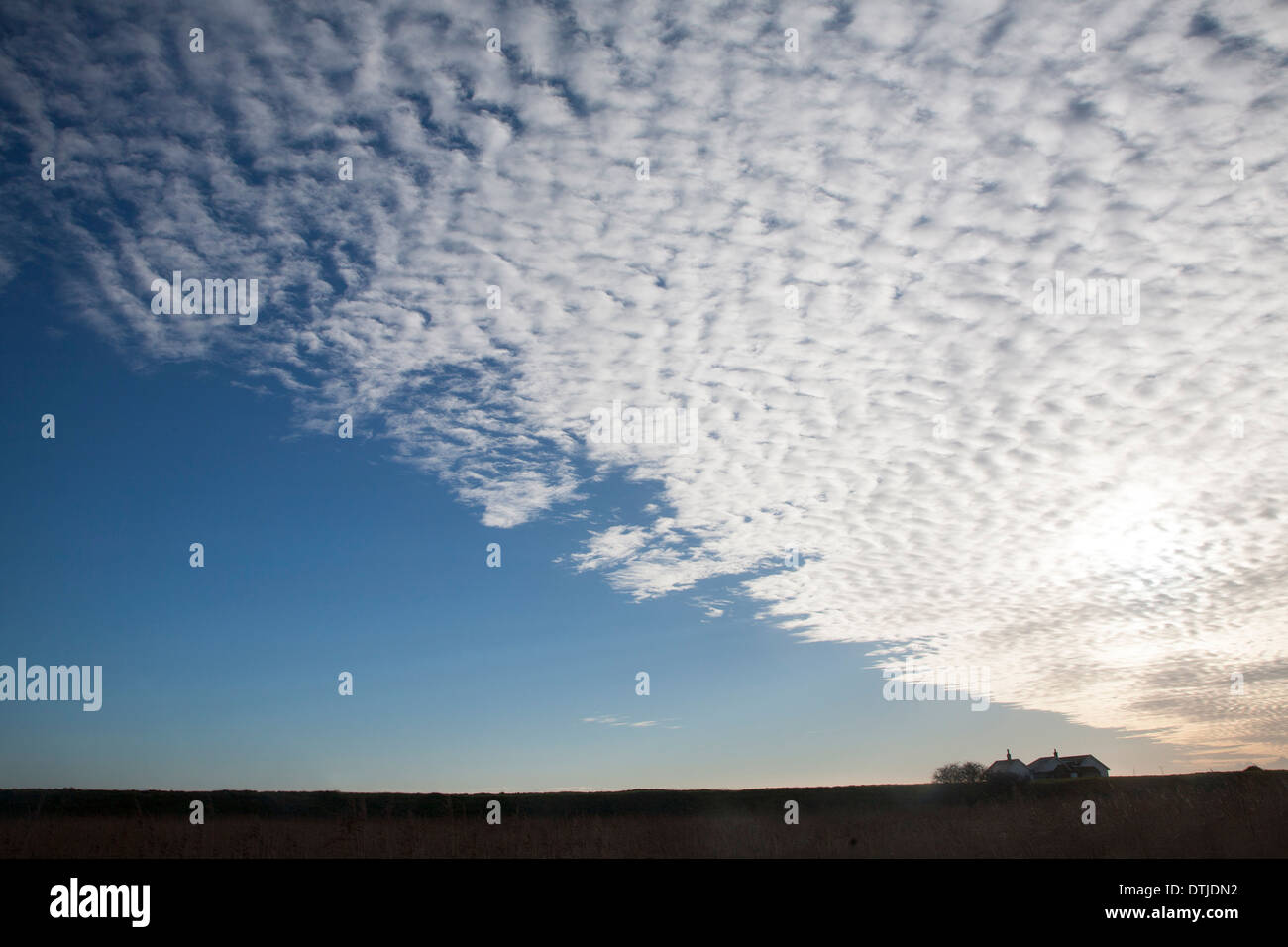 A mackerel sky or buttermilk sky of altocumulus clouds over Shingle ...