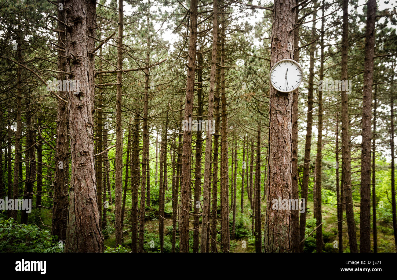 A clock in a forest, art installation at Oerol Festival, Terschelling ...