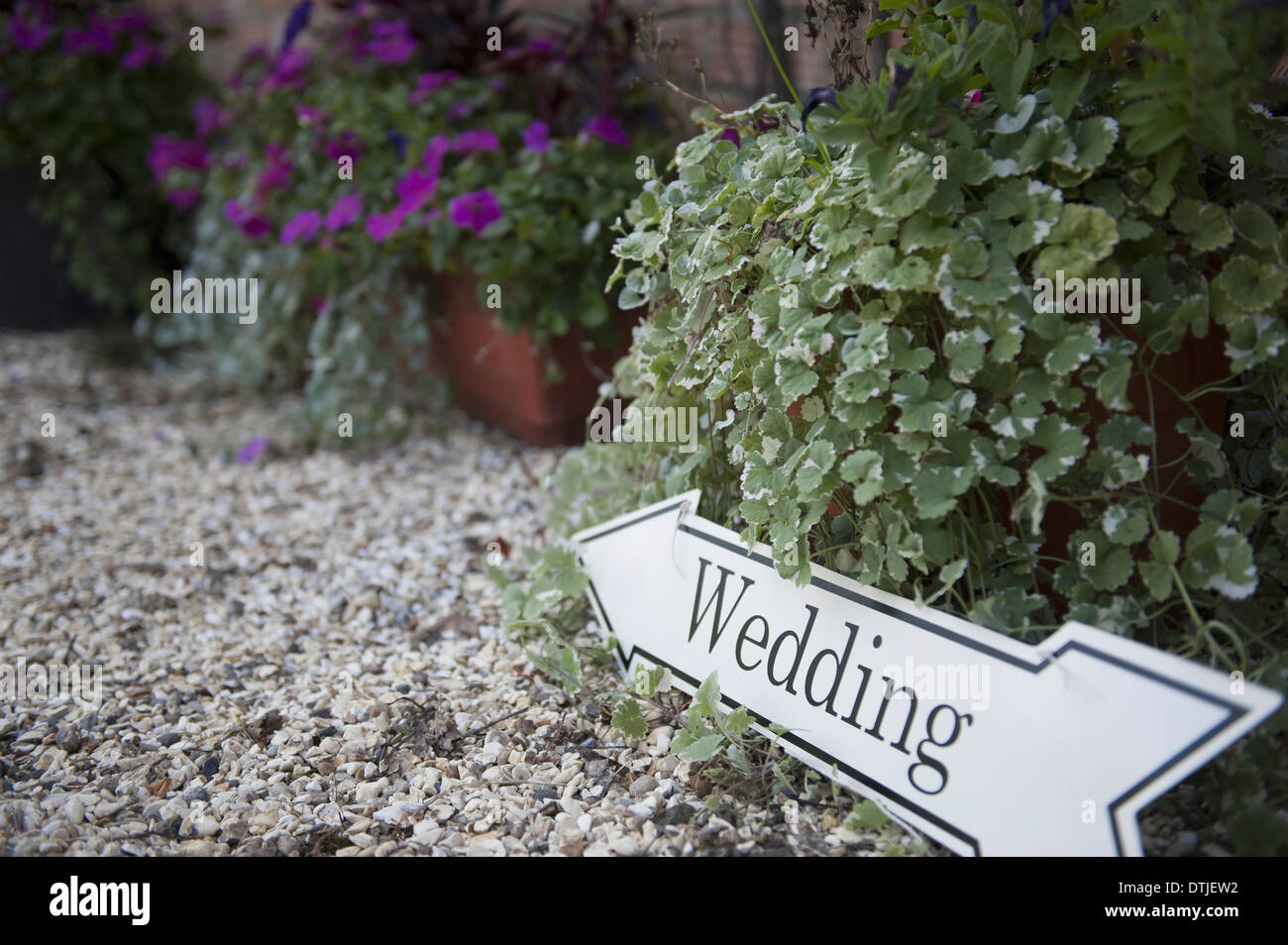 Directional sign to a wedding on a gravel path England Stock Photo - Alamy