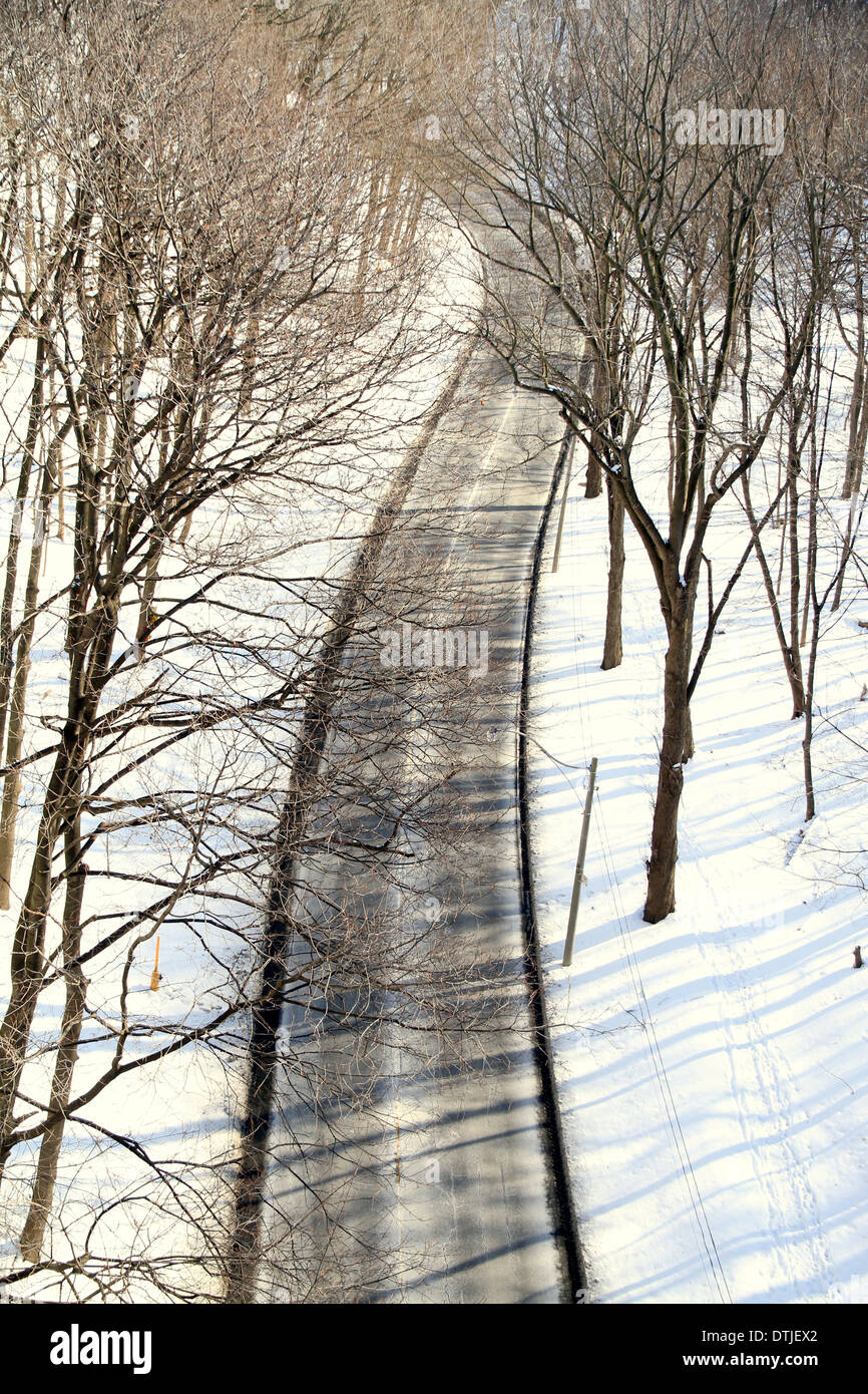 Canada road forest hi-res stock photography and images - Alamy