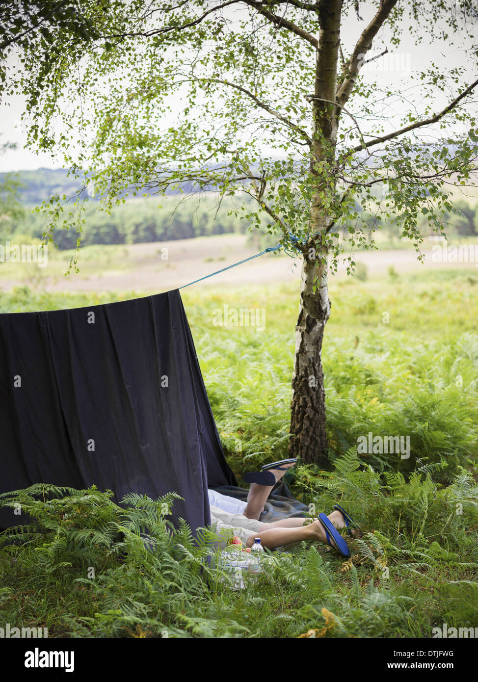 Two boys camping in the New Forest lying under a canvas shelter ...
