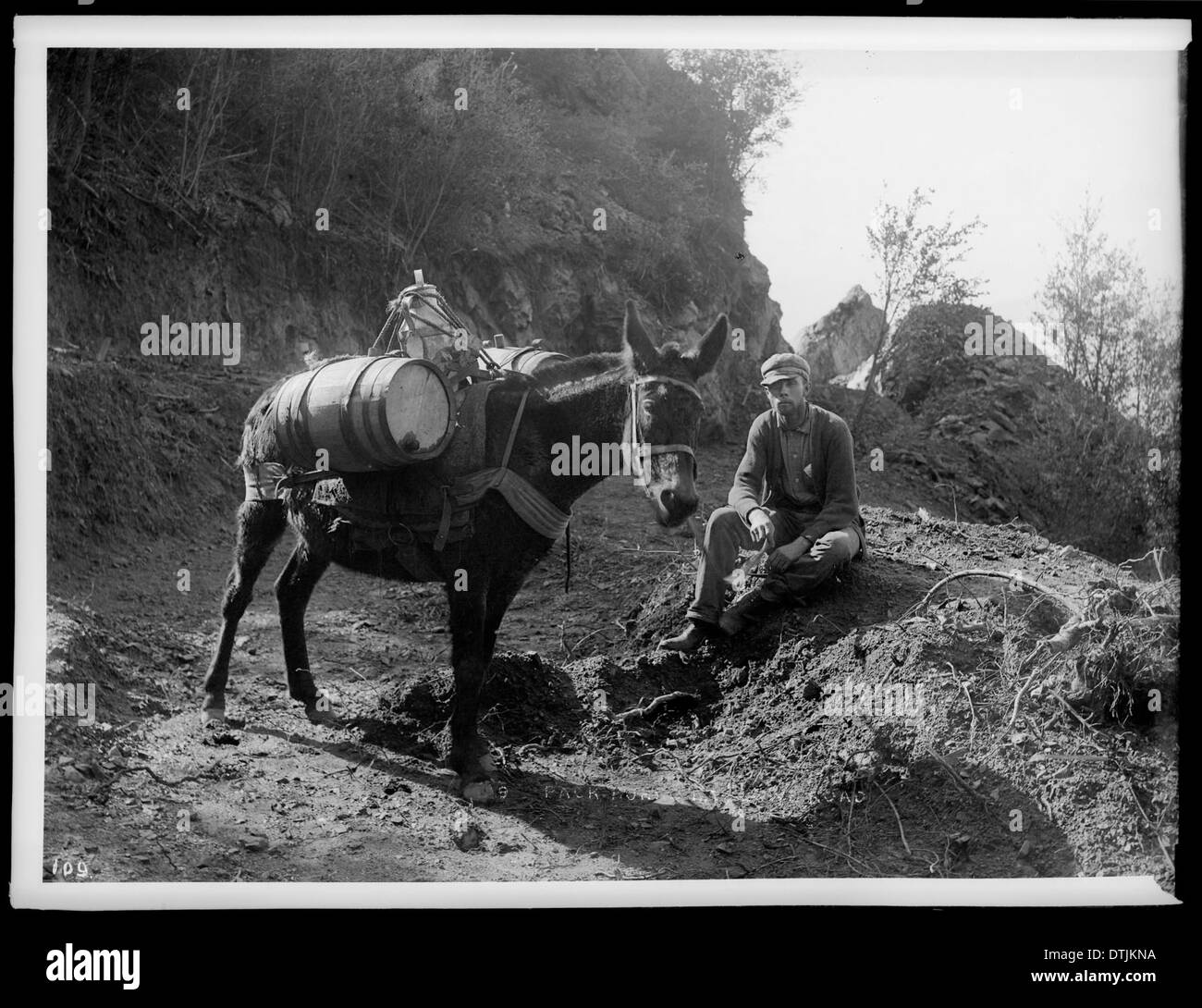 Man and mule Black and White Stock Photos & Images - Alamy