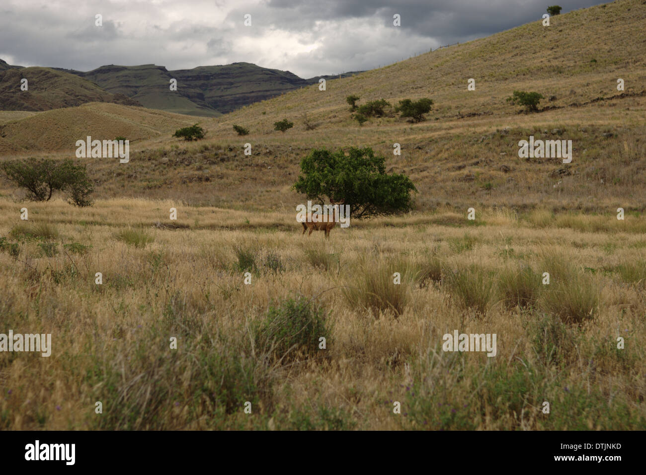 Pittsburgh landing hi-res stock photography and images - Alamy