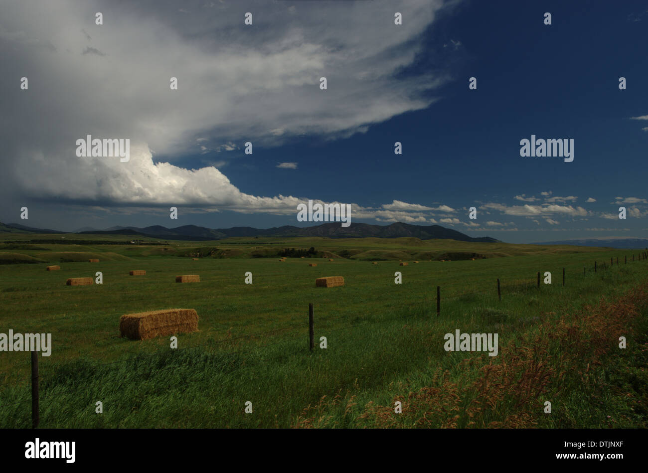 Judith mountains hi-res stock photography and images - Alamy