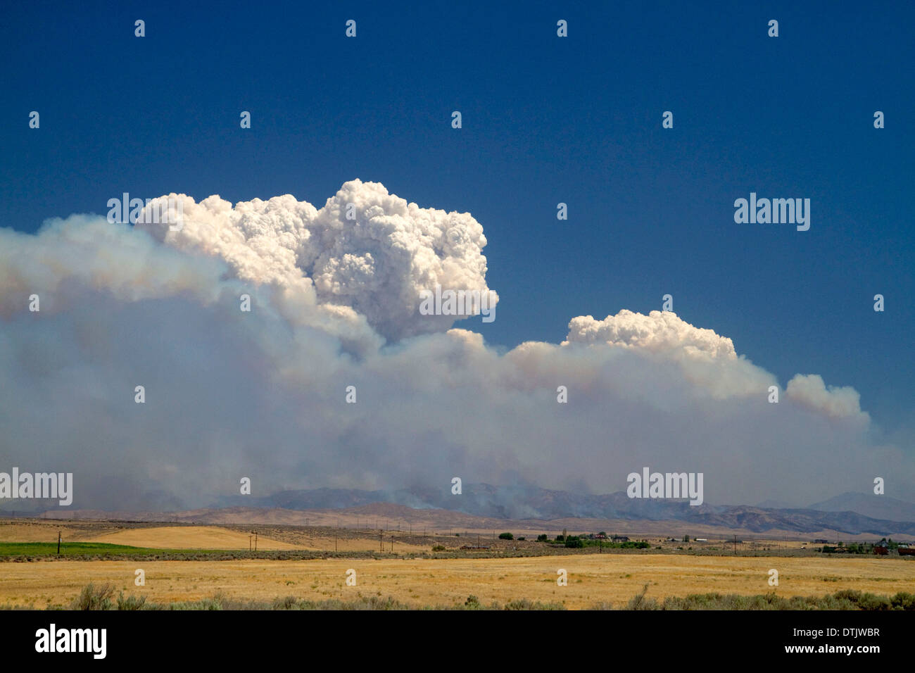 Pyrocumulus cloud created by a wildfire near Boise, Idaho, USA Stock ...