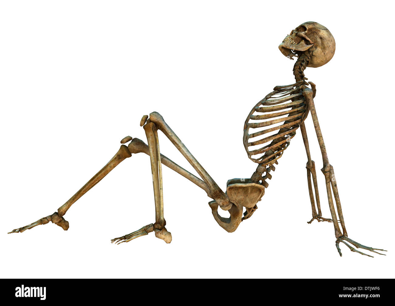 3D digital render of an old human sitting skeleton isolated on white ...