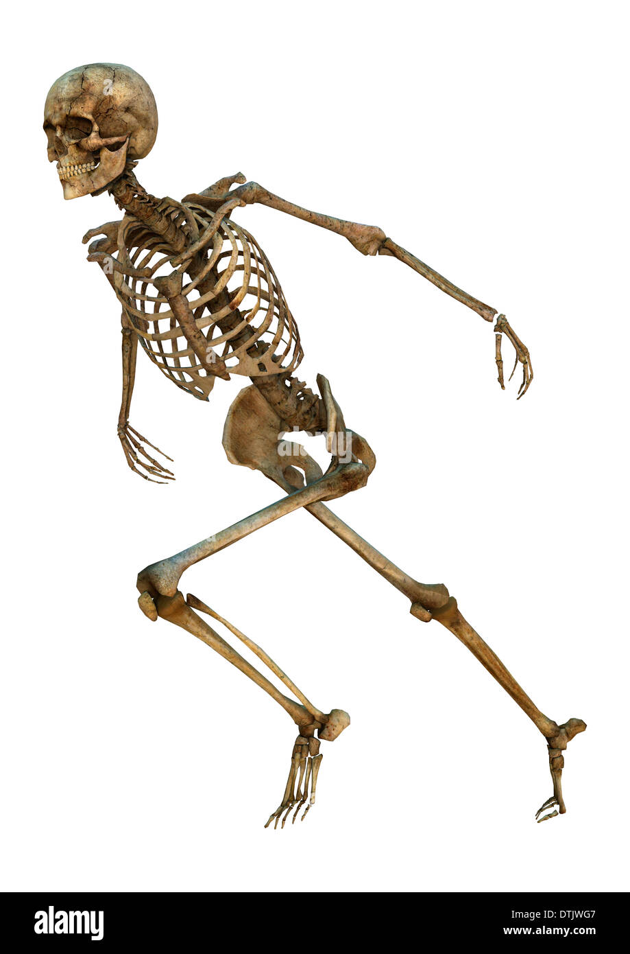 3D digital render of an old human skeleton isolated on white background ...