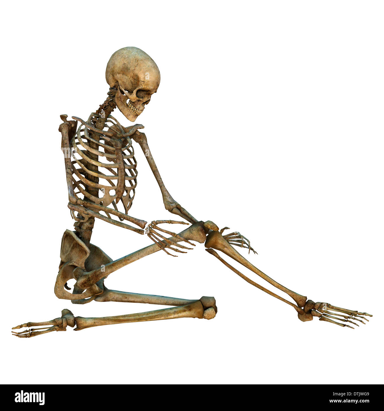 3D digital render of an old human sitting skeleton isolated on white ...