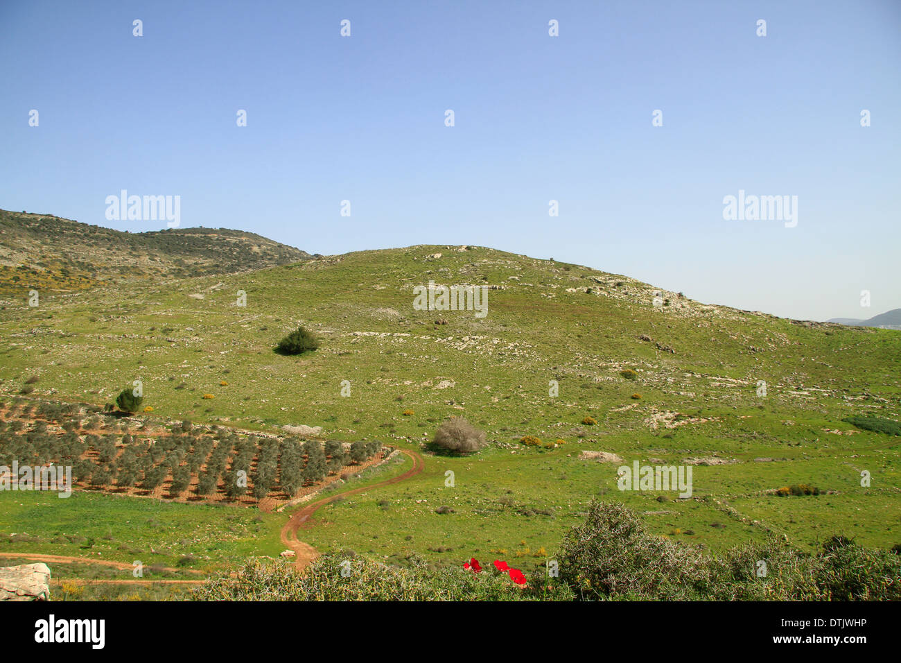 Israel, Lower Galilee, Hurvat Cana site of Ancient Cana overlooking ...