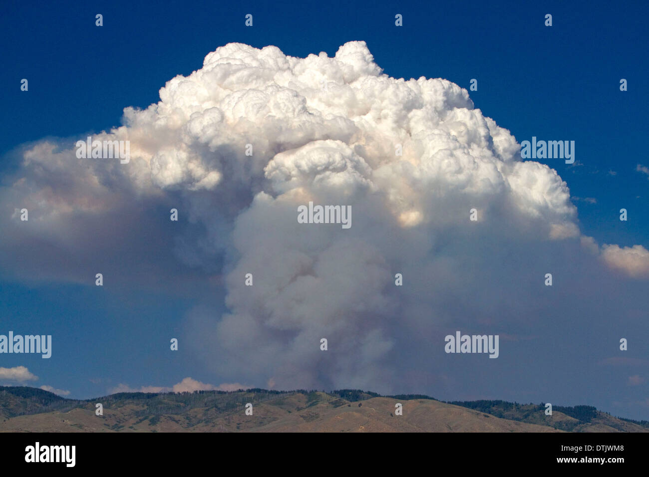 Pyrocumulus cloud created by a wildfire near Boise, Idaho, USA Stock ...