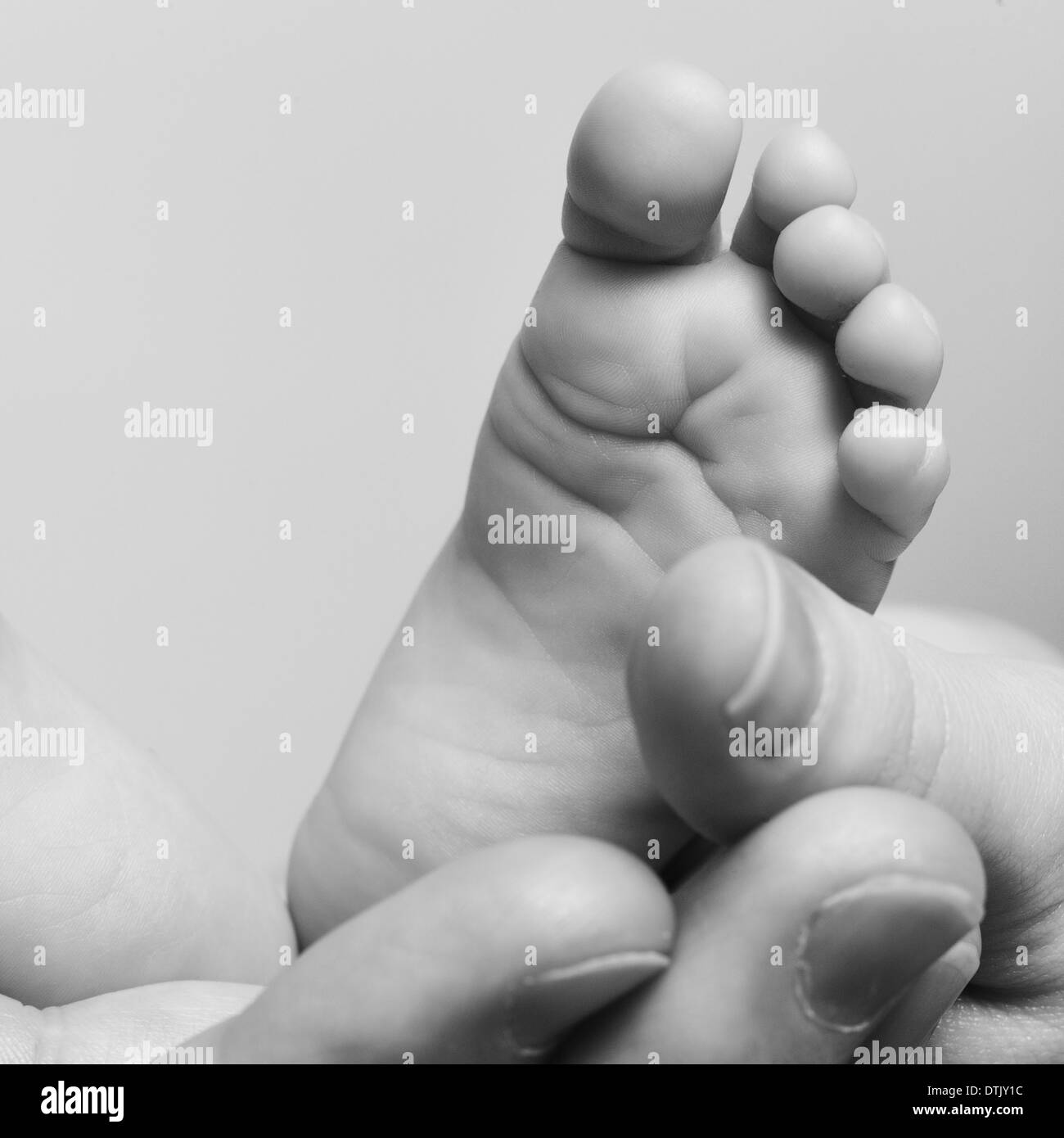 parents hands carefully holding baby's foot Stock Photo - Alamy