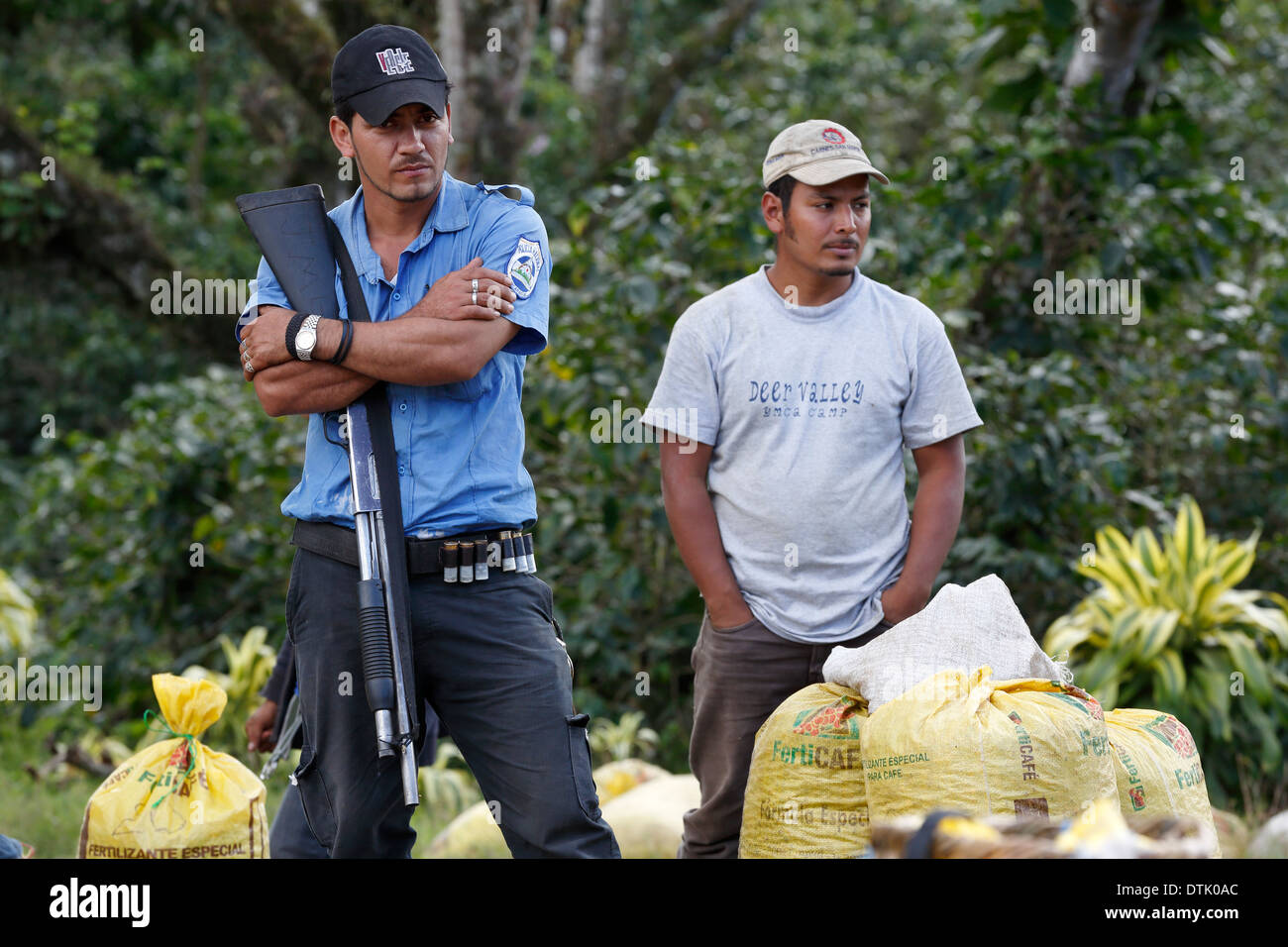 An armed security guard stands with a coffee harvest worker, northwest ...