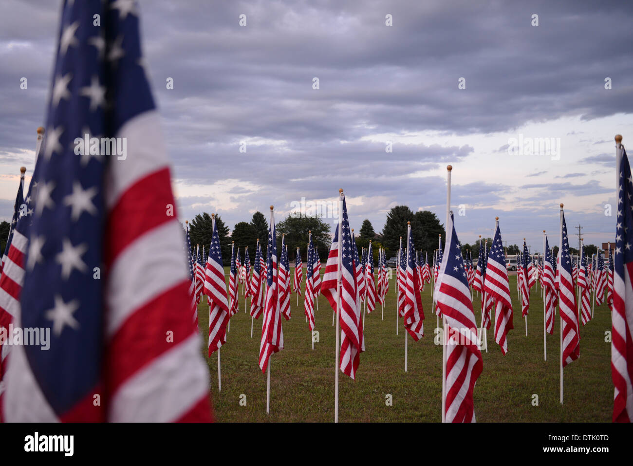 Usa flags vibrant american flags hi-res stock photography and images ...