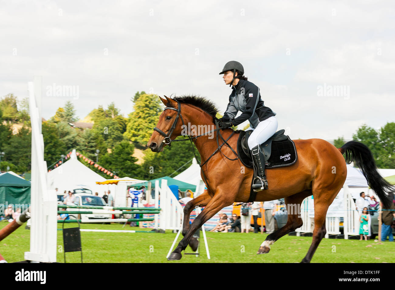 Jodhpurs horse hi-res stock photography and images - Alamy