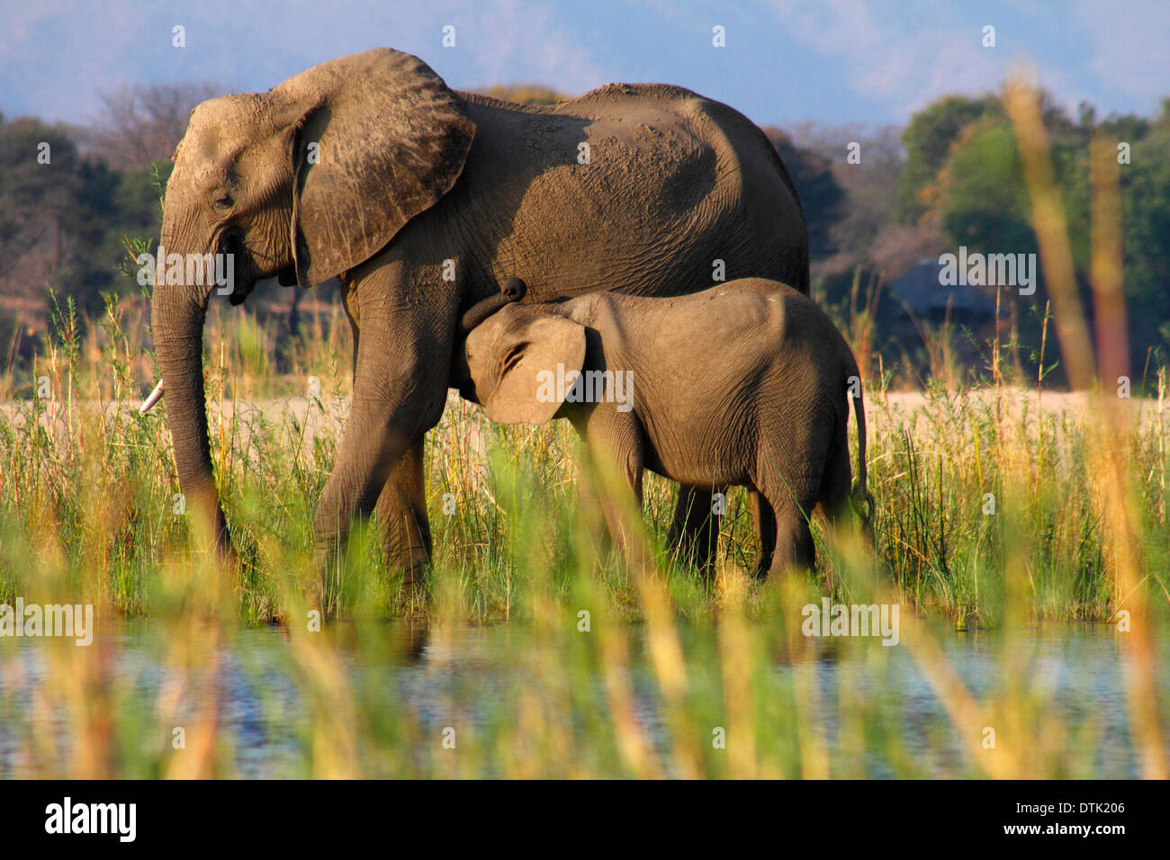 Tender moment before sundown Stock Photo - Alamy