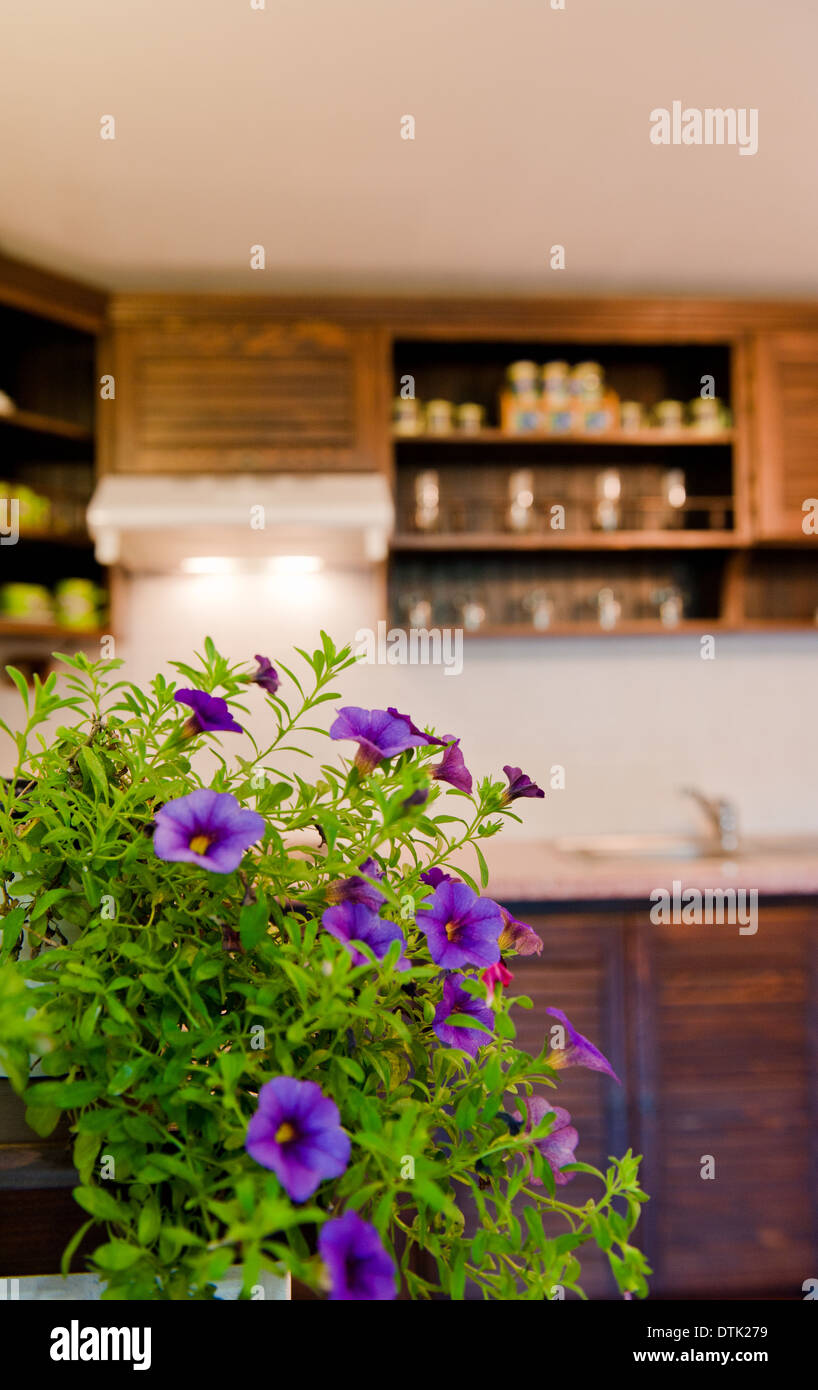 Flowers in a kitchen Stock Photo - Alamy