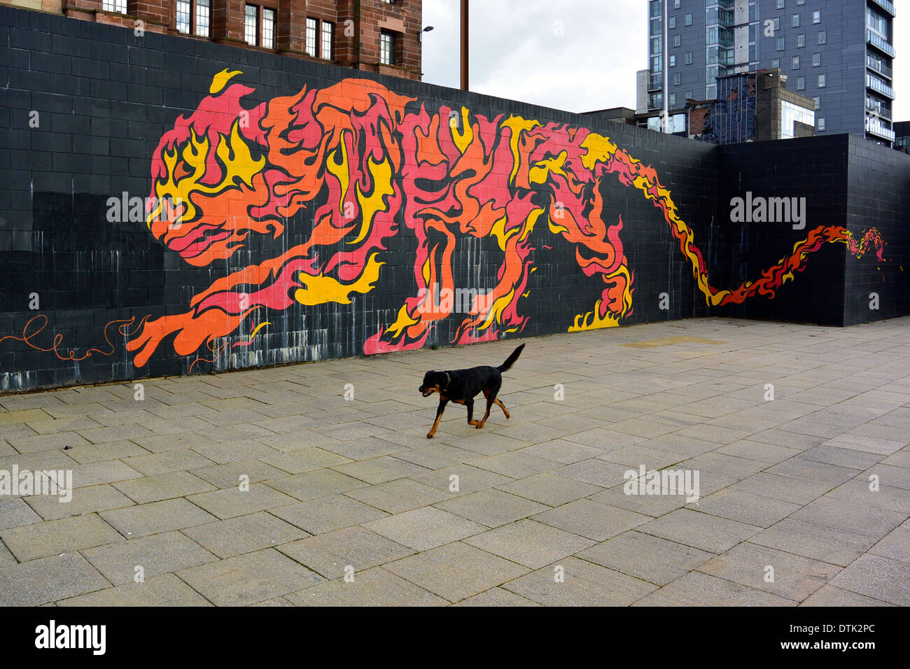 Dog with Tiger shadow Stock Photo - Alamy