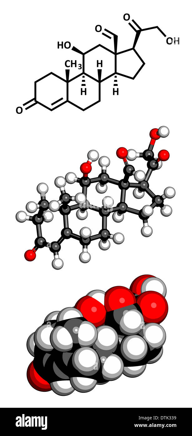 Renin molecule hi-res stock photography and images - Alamy