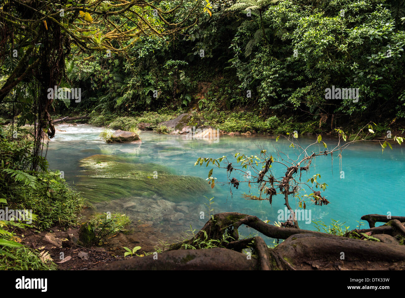 Celeste River or Rio Celeste in Tenorio Volcano National Park of Costa ...
