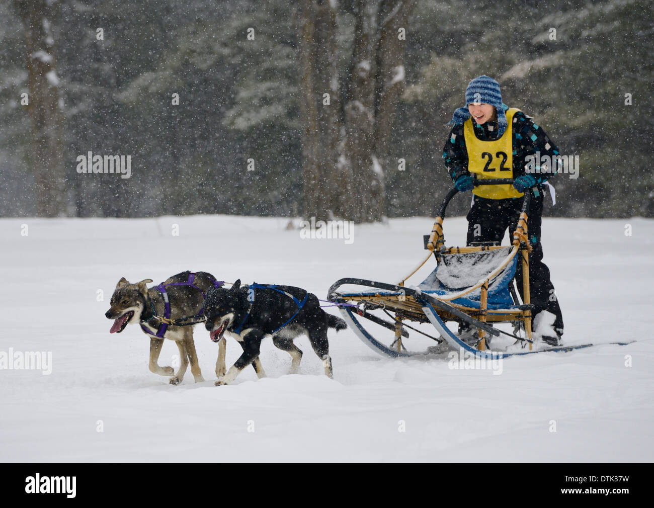 Female sled dog racer hi-res stock photography and images - Alamy