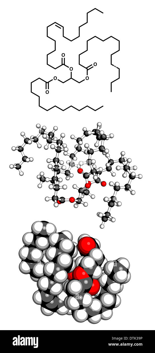 Triglyceride Molecule Structure