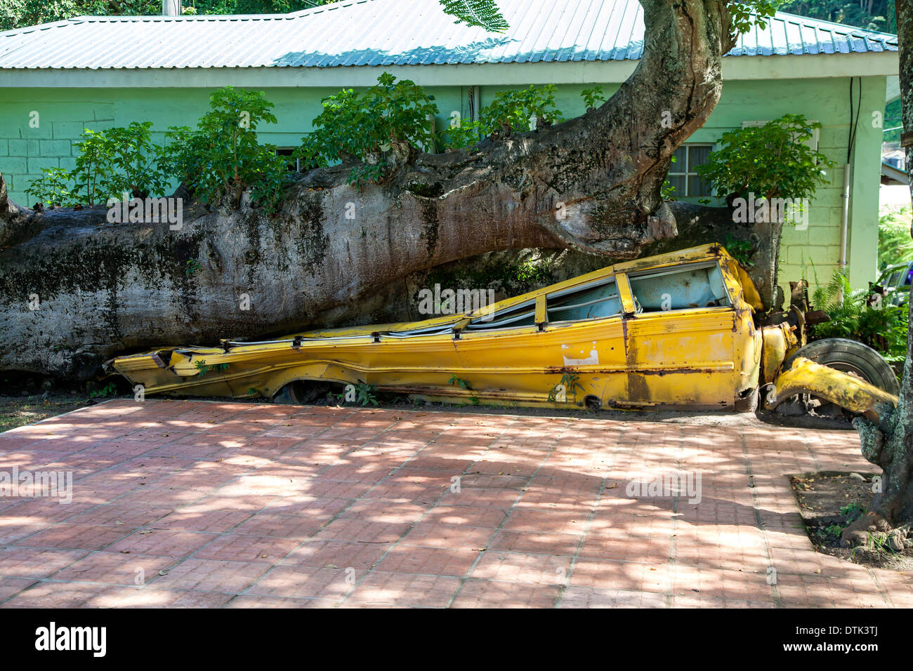 Bus crushed tree hi-res stock photography and images - Alamy