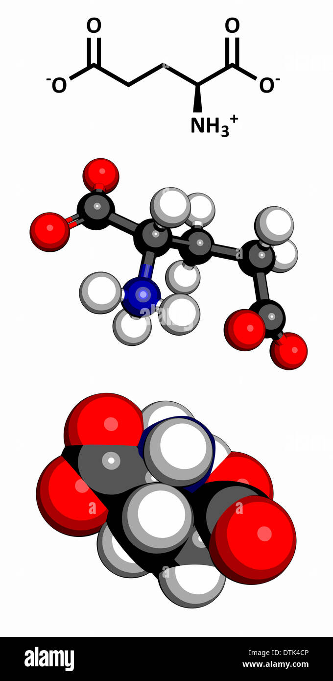 Glutamate Neurotransmitter Structure